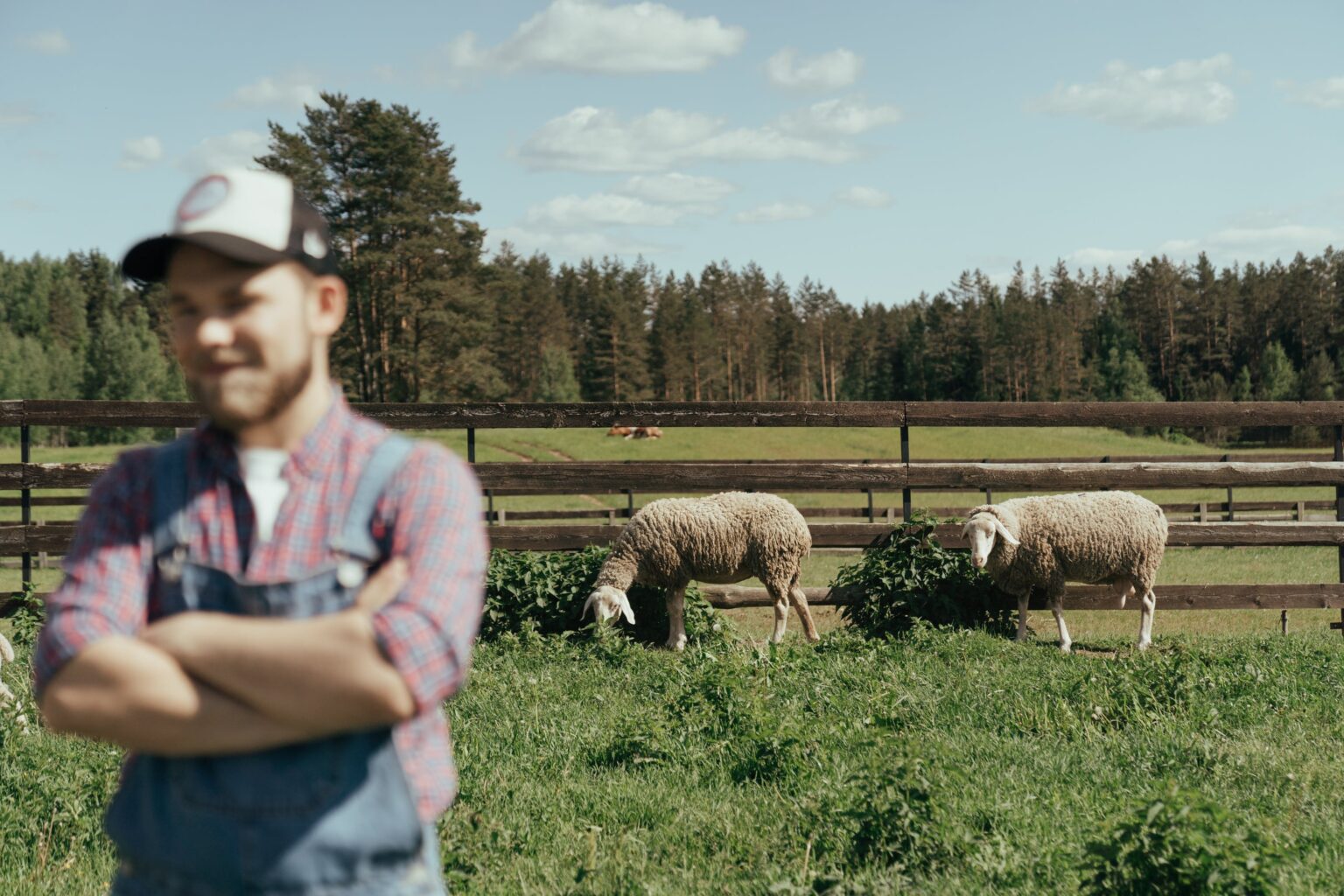 How To Keep A Farm Safe Australian Property